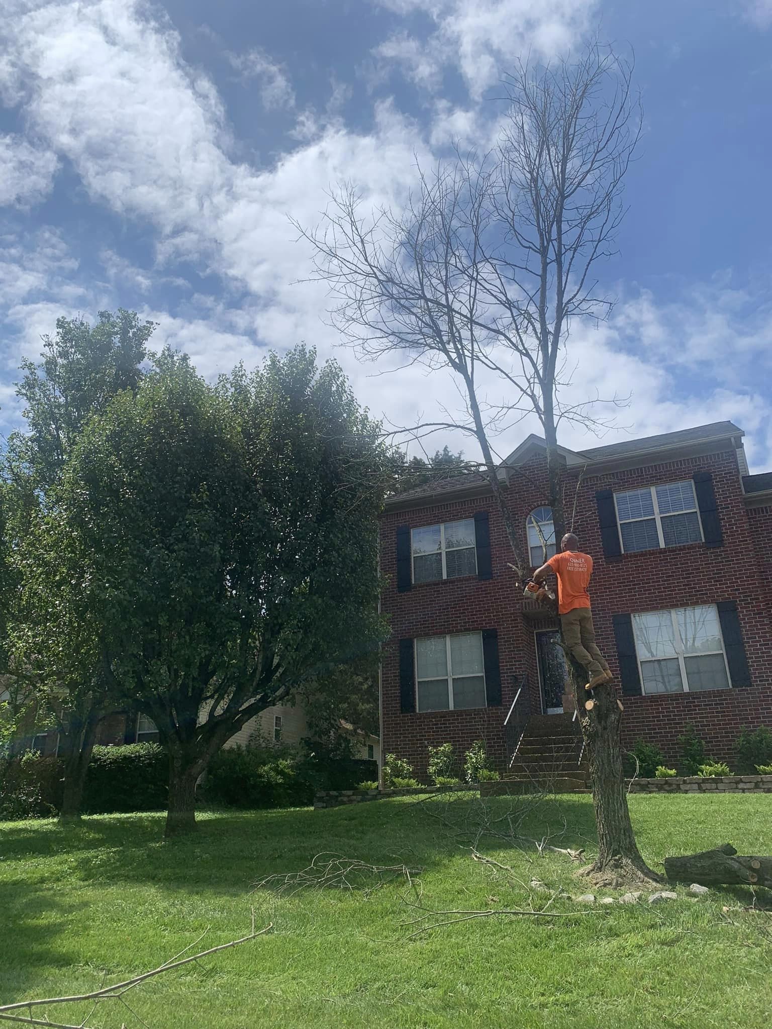 Newmans Tree Surgeons - Service You Can Depend On!