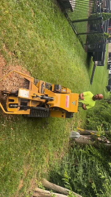 Newmans Tree Surgeons - Service You Can Depend On!